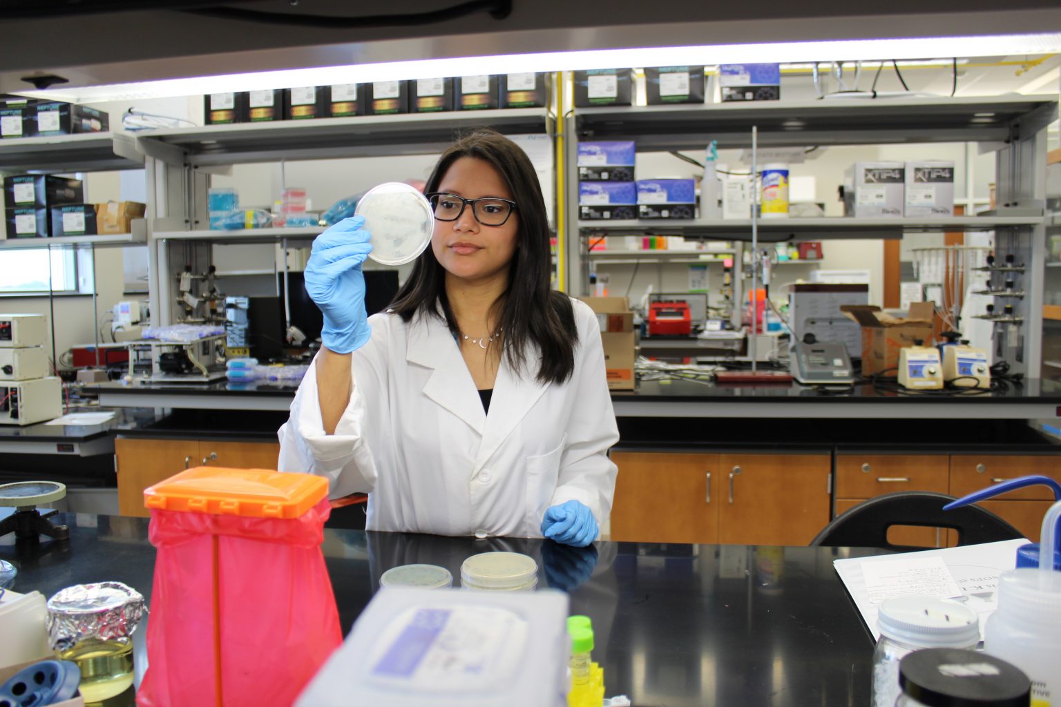 Ph.D. in Genetics at Texas A&M University