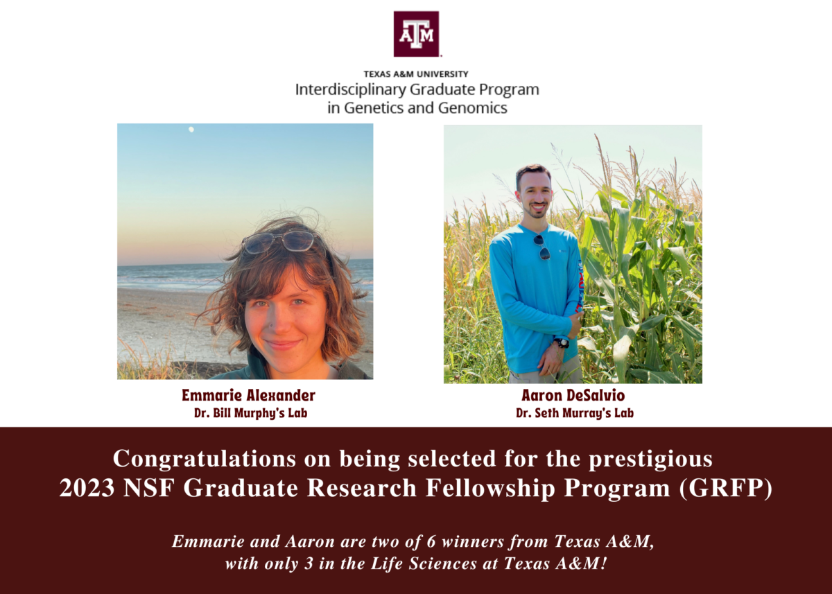 Ph.D. in Genetics at Texas A&M University