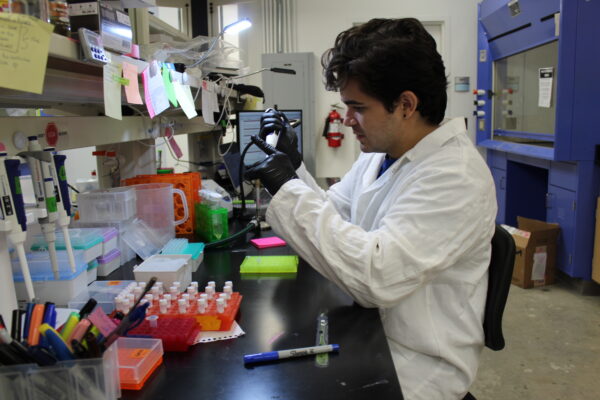 Ph.D. in Genetics at Texas A&M University