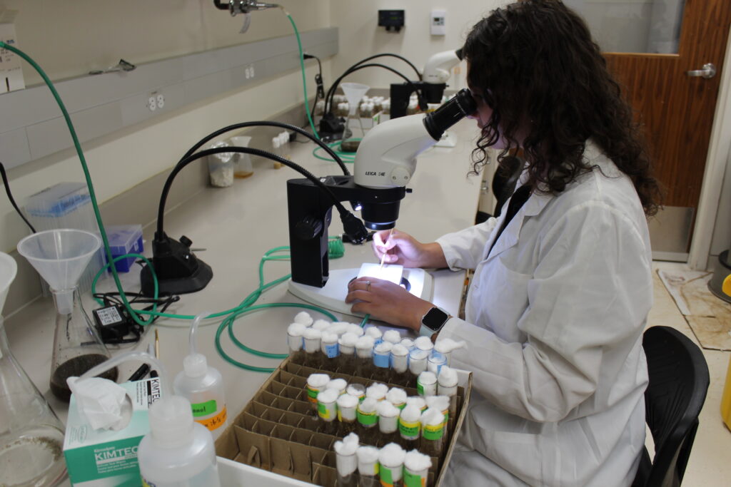 Ph.D. in Genetics at Texas A&M University